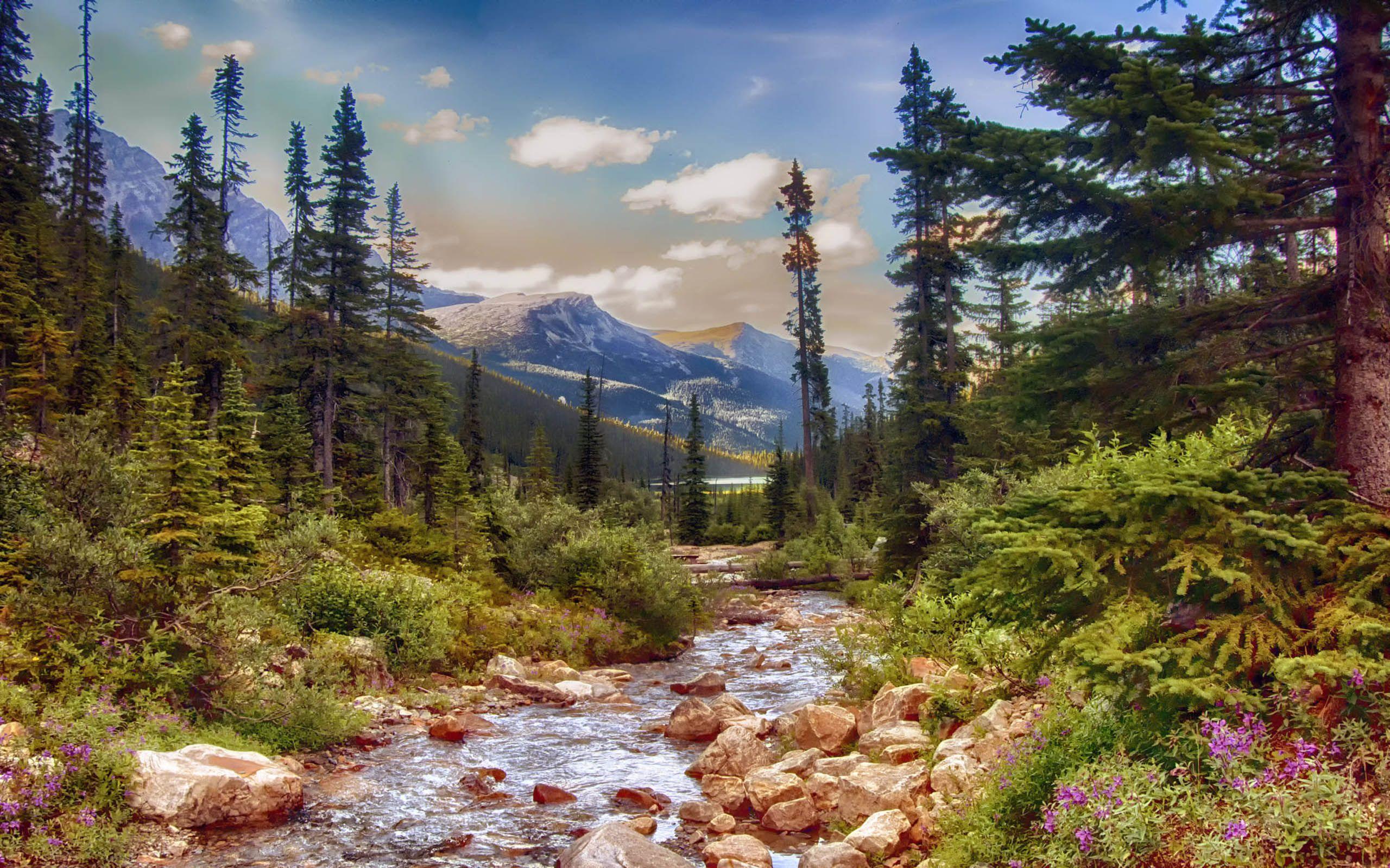 Alaska Spring Wallpapers - Top Free Alaska Spring Backgrounds ...