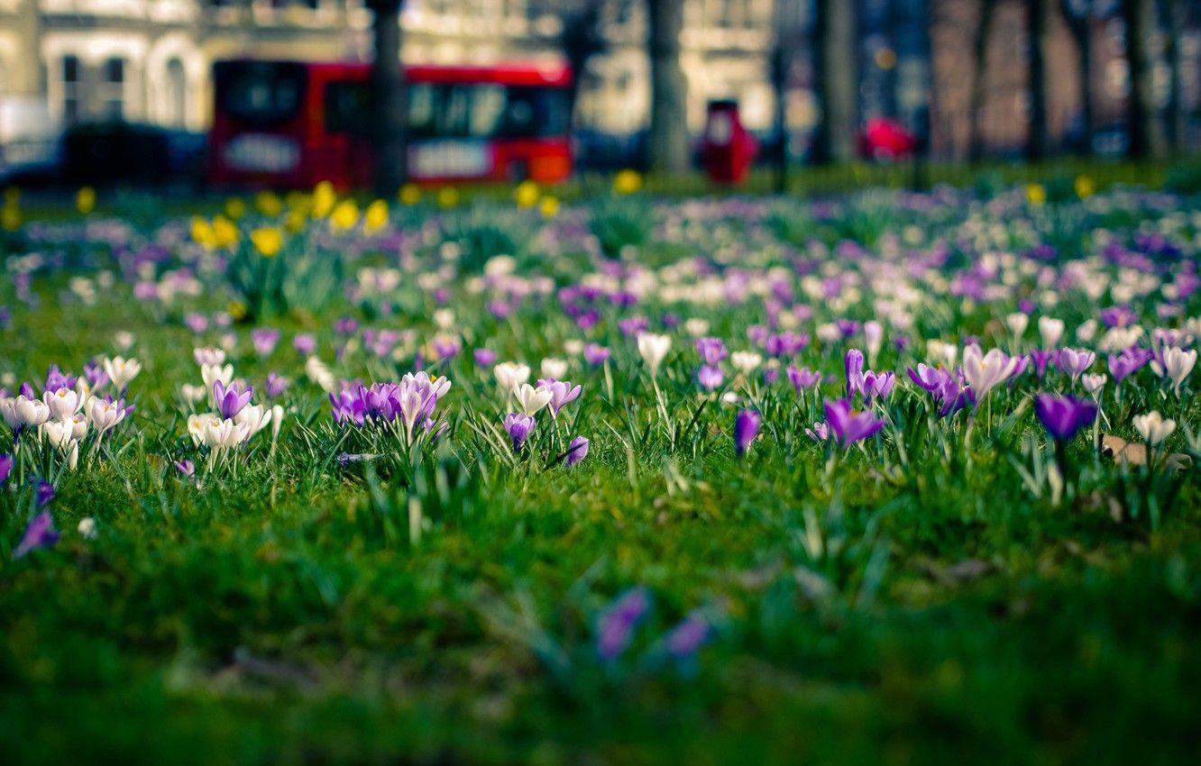 London Spring Wallpapers - Top Free London Spring Backgrounds ...