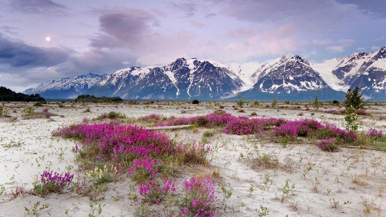 Alaska Spring Wallpapers - Top Free Alaska Spring Backgrounds ...