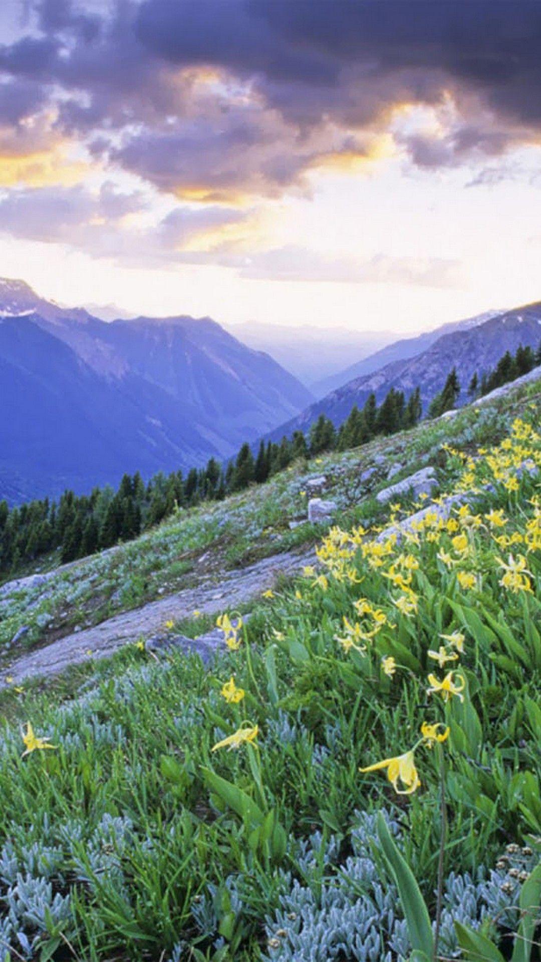 Early Spring Wallpapers - Top Free Early Spring Backgrounds ...