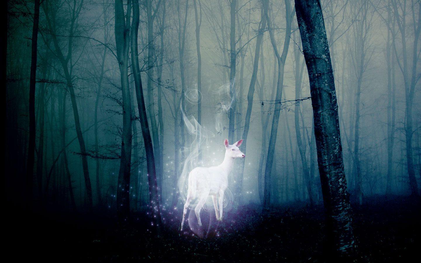 Expecto Patronum Wallpapers - Top Free Expecto Patronum Backgrounds ...