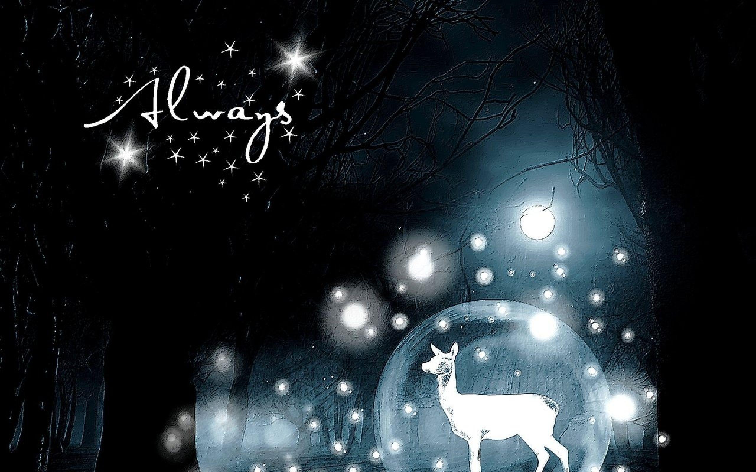 Patronus Wallpapers - Top Free Patronus Backgrounds - WallpaperAccess