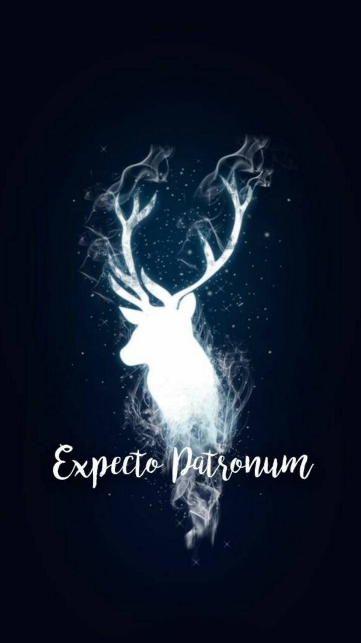 Patronus Wallpapers - Top Free Patronus Backgrounds - WallpaperAccess