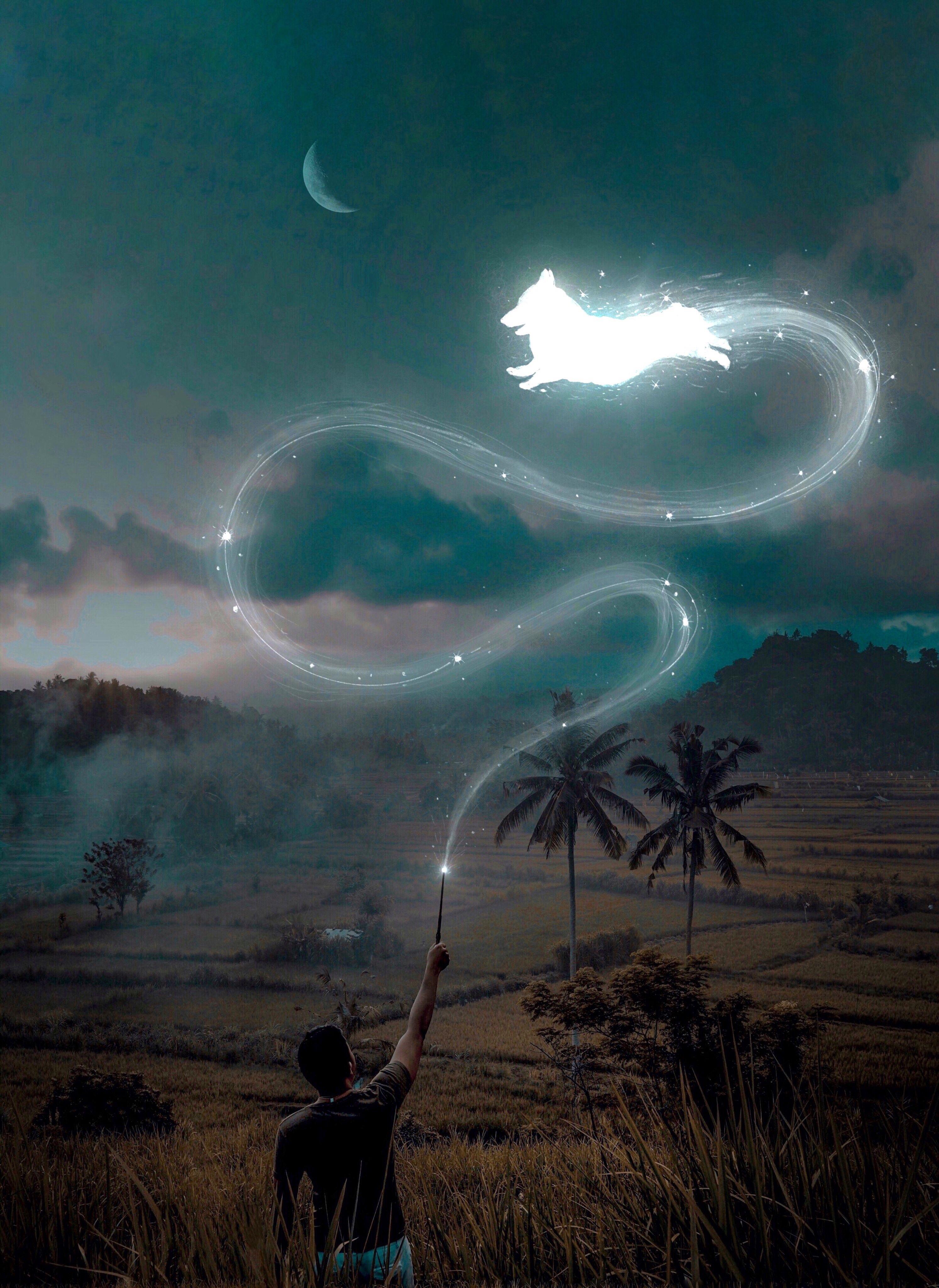 Patronus Wallpapers - Top Free Patronus Backgrounds - WallpaperAccess