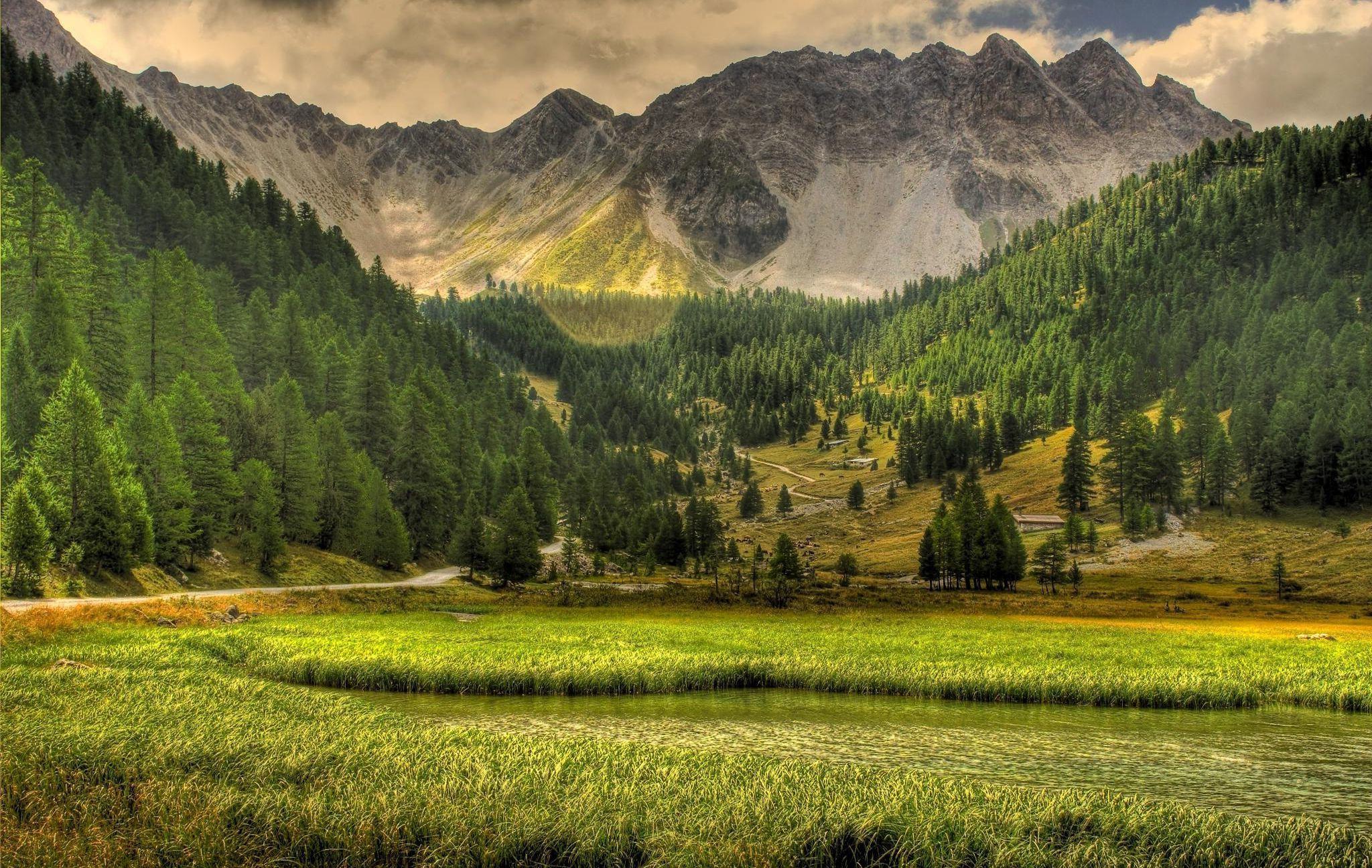 Best Nature Wallpapers - Top Free Best Nature Backgrounds - WallpaperAccess