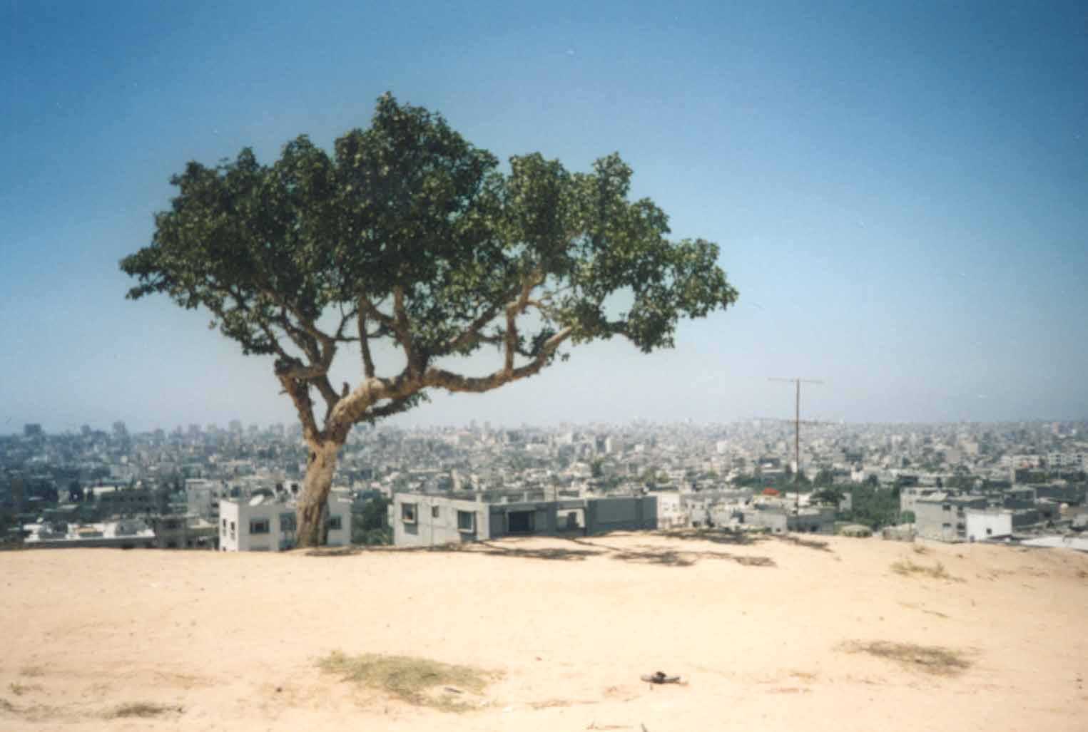 Gaza Wallpapers - Top Free Gaza Backgrounds - WallpaperAccess