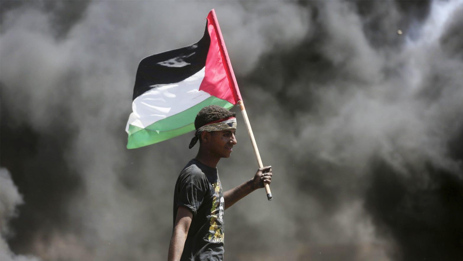 Gaza Wallpapers - Top Free Gaza Backgrounds - WallpaperAccess