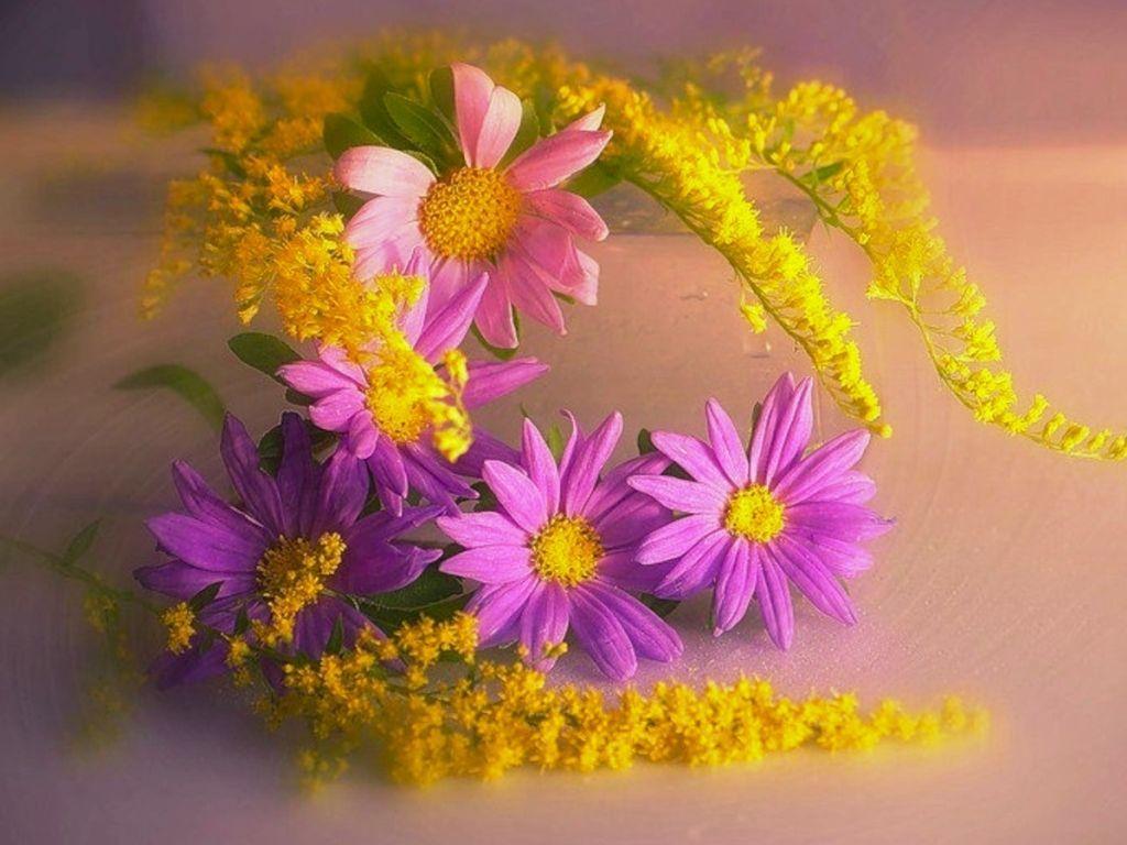 Welcome Wallpapers - Top Free Welcome Backgrounds - WallpaperAccess