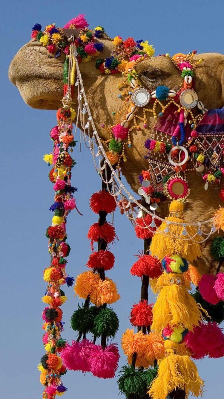 Rajasthani Wallpapers - Top Free Rajasthani Backgrounds - WallpaperAccess