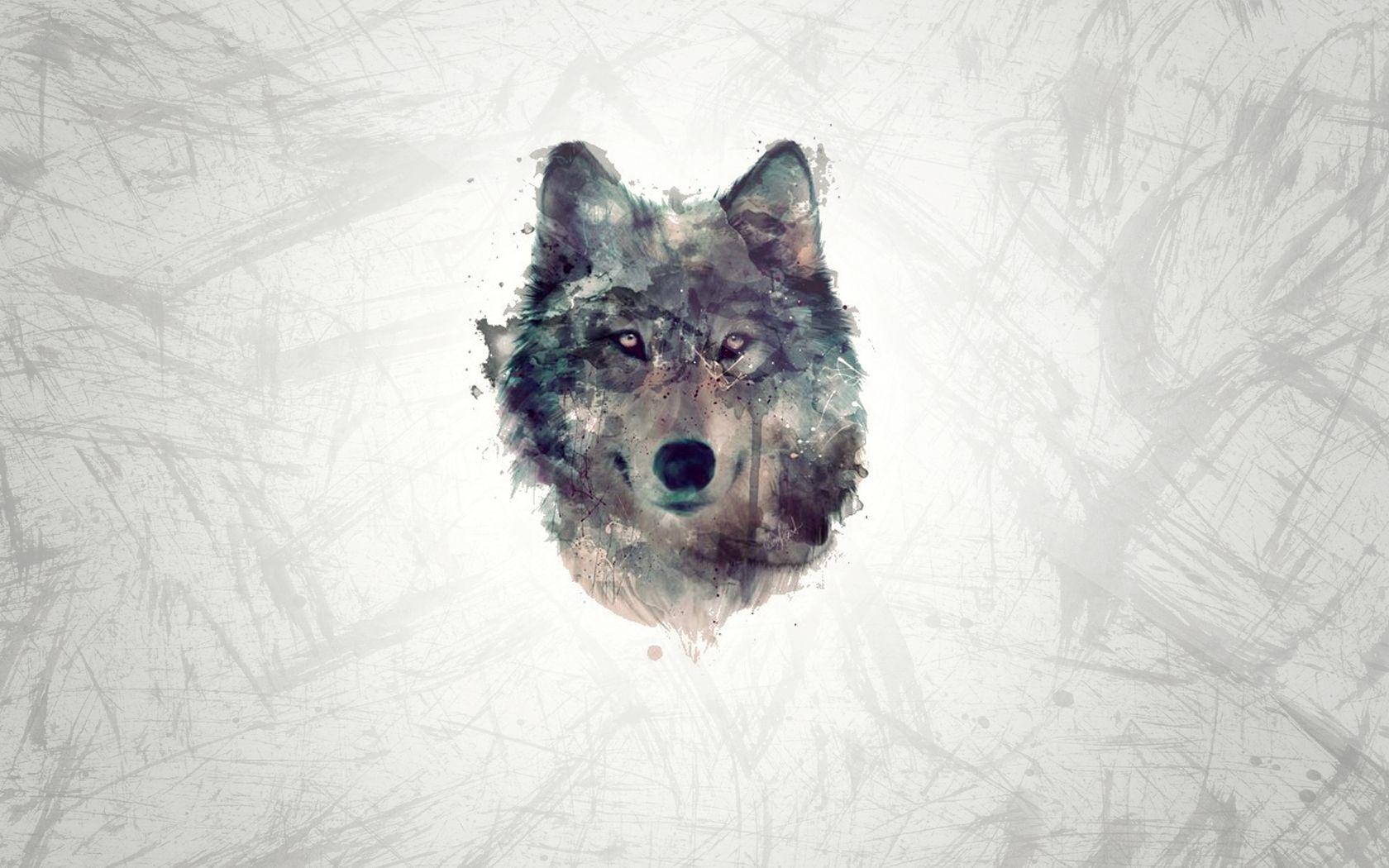 Unique Wolf Wallpapers - Top Free Unique Wolf Backgrounds - WallpaperAccess