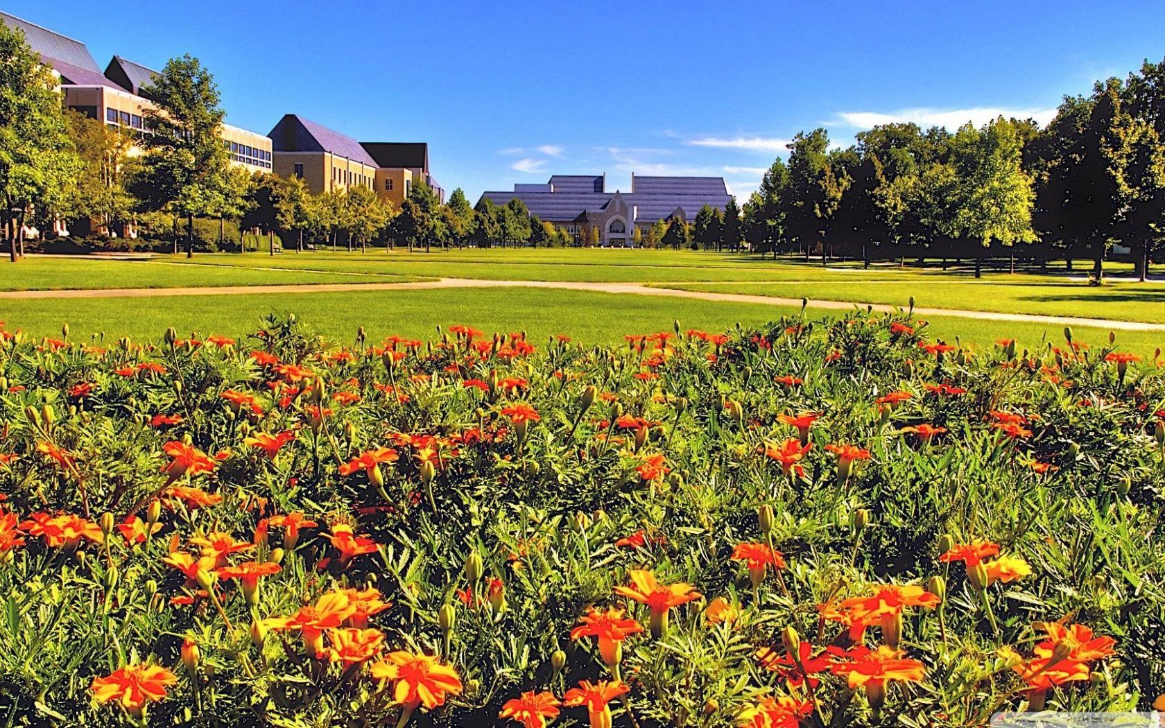 City Summer Wallpapers - Top Free City Summer Backgrounds - WallpaperAccess