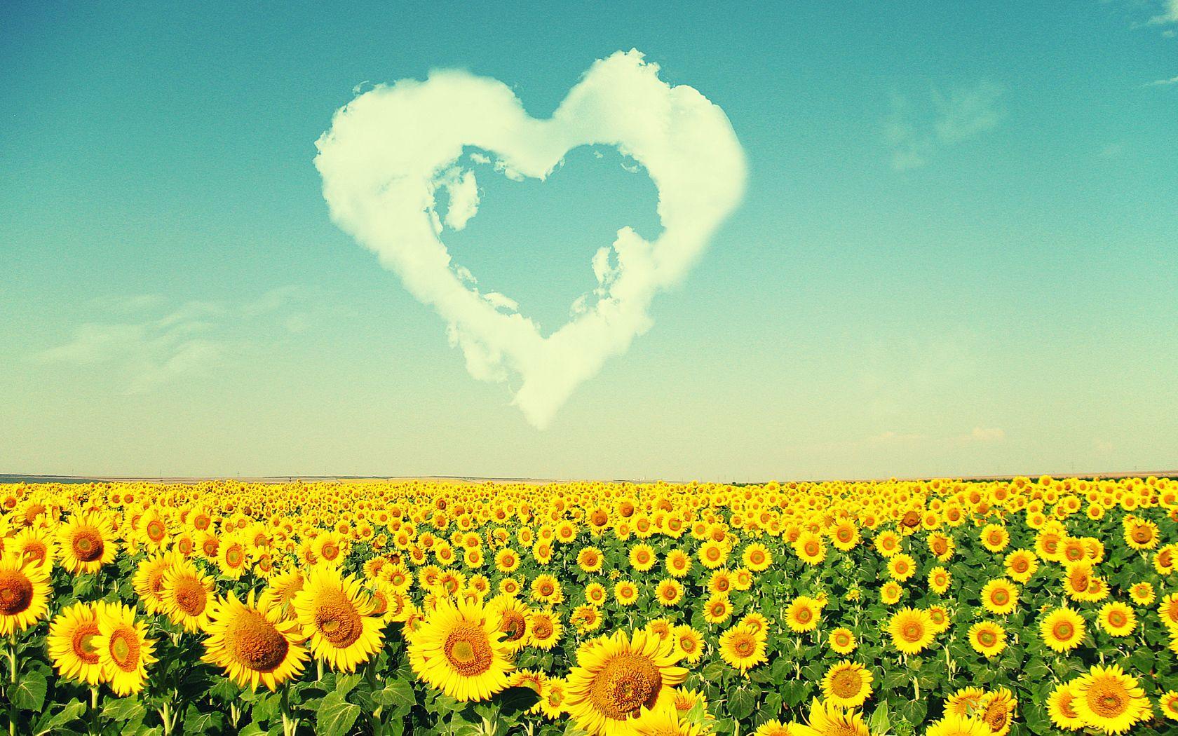 Summer Love Wallpapers Top Free Summer Love Backgrounds Wallpaperaccess