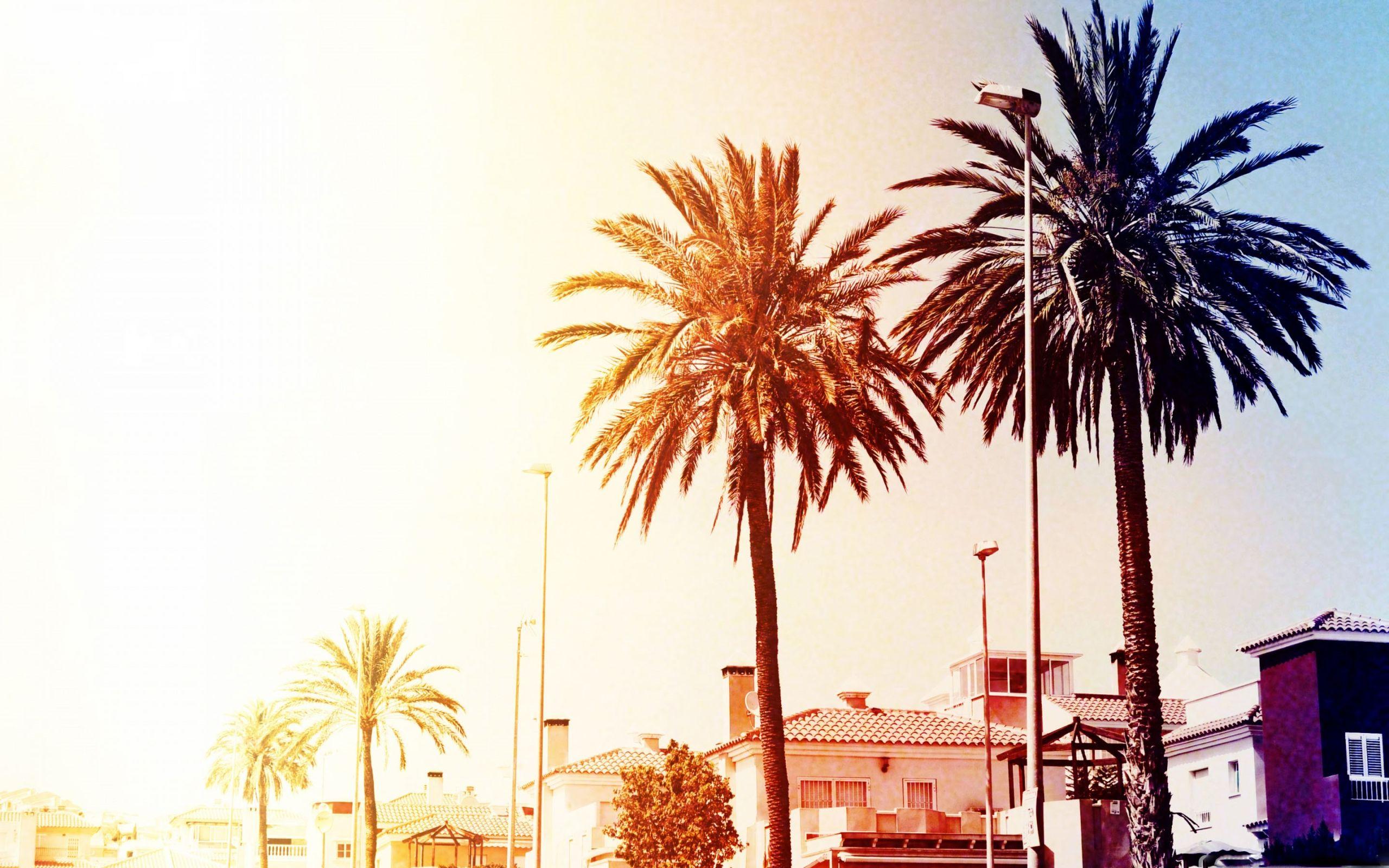 City Summer Wallpapers - Top Free City Summer Backgrounds - WallpaperAccess