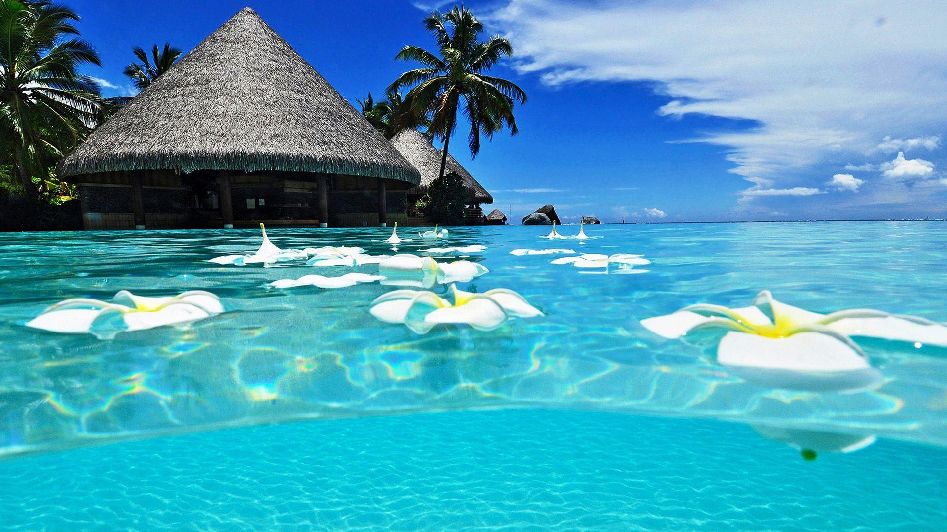 Summer Water Wallpapers - Top Free Summer Water Backgrounds ...