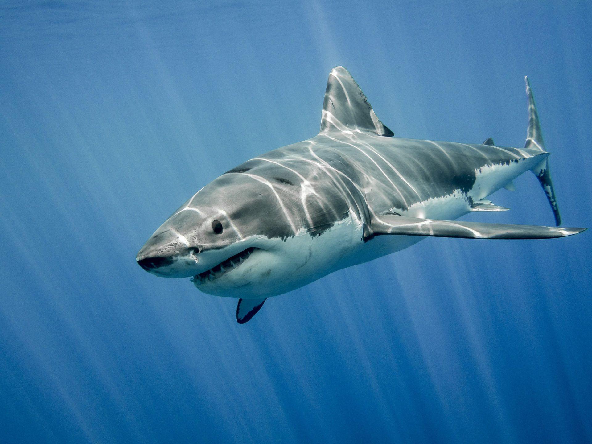 Impressive HD Wallpapers - Top Free Impressive HD Backgrounds ...