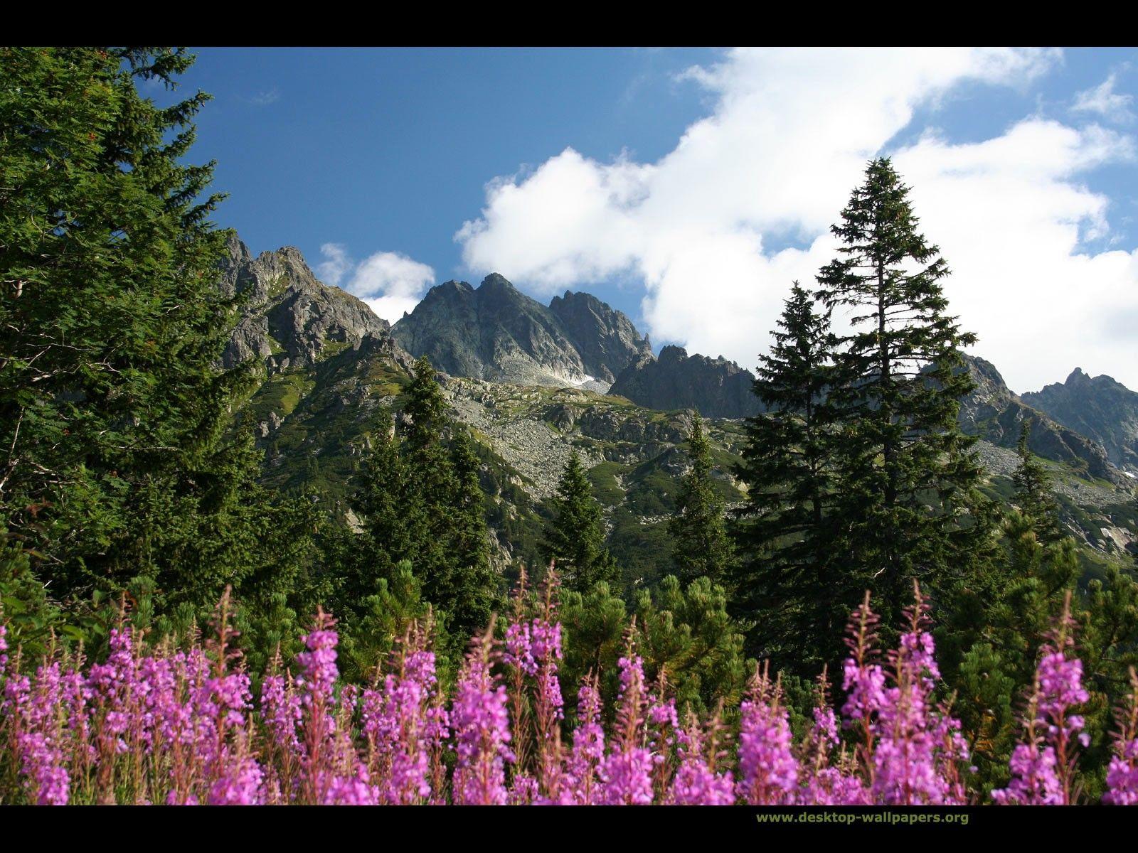 Slovakia Scenery Wallpapers - Top Free Slovakia Scenery Backgrounds ...