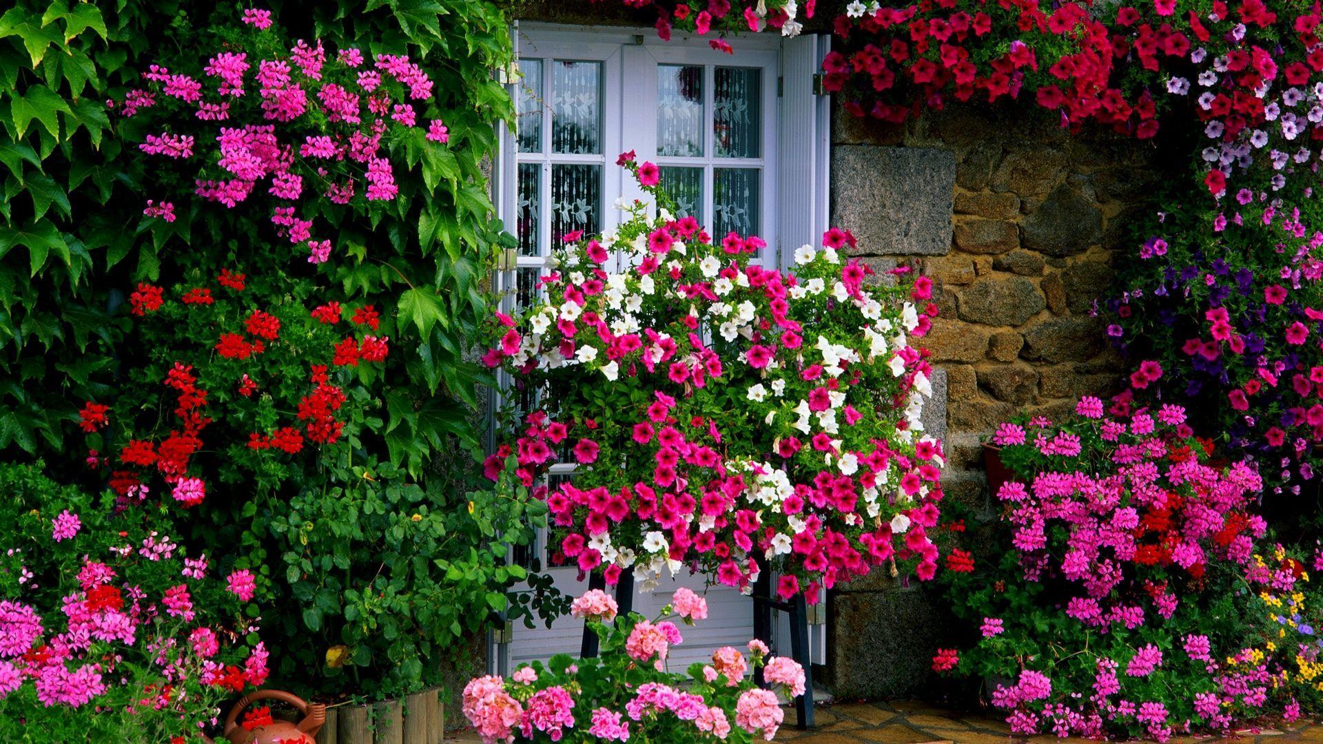 English Cottage Garden Wallpapers - Top Free English Cottage Garden ...