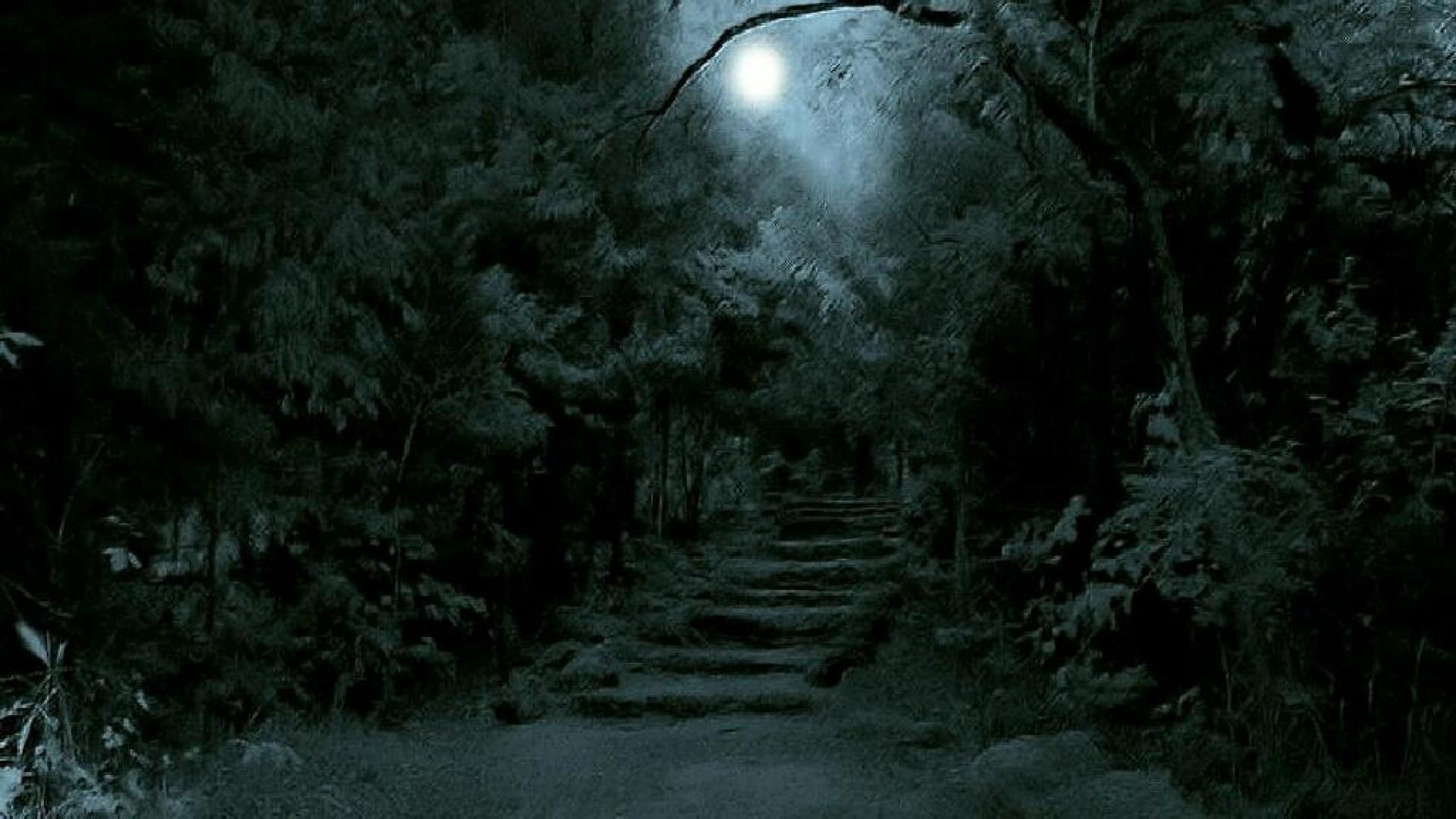 Forest Moon Wallpapers - Top Free Forest Moon Backgrounds - WallpaperAccess