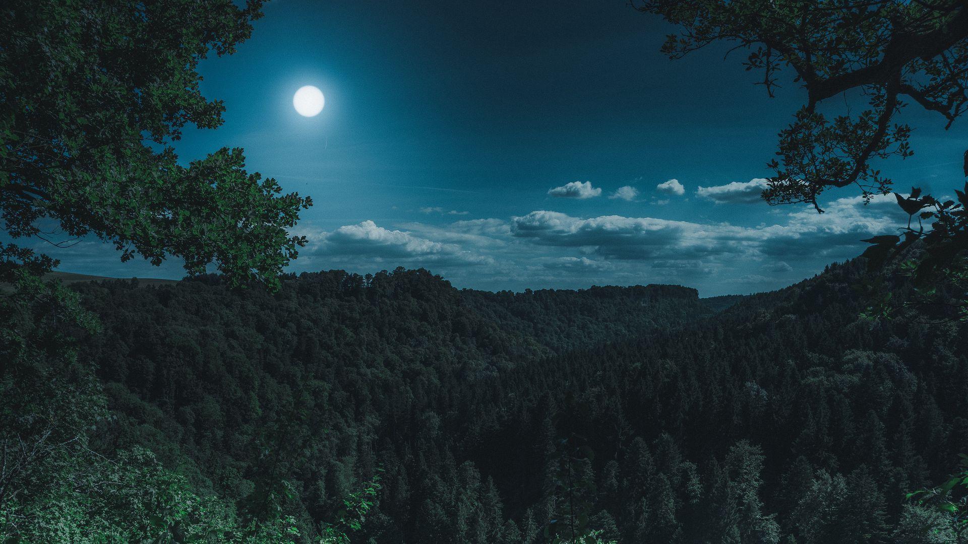 Forest Moon Wallpapers - Top Free Forest Moon Backgrounds - WallpaperAccess