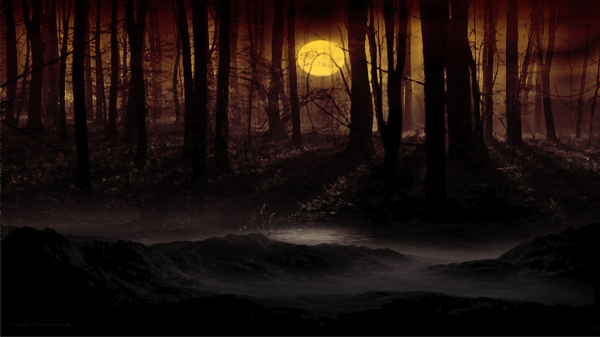 Forest Moon Wallpapers - Top Free Forest Moon Backgrounds - WallpaperAccess Forest Moon Wallpapers - Top Free Forest Moon Backgrounds - WallpaperAccess