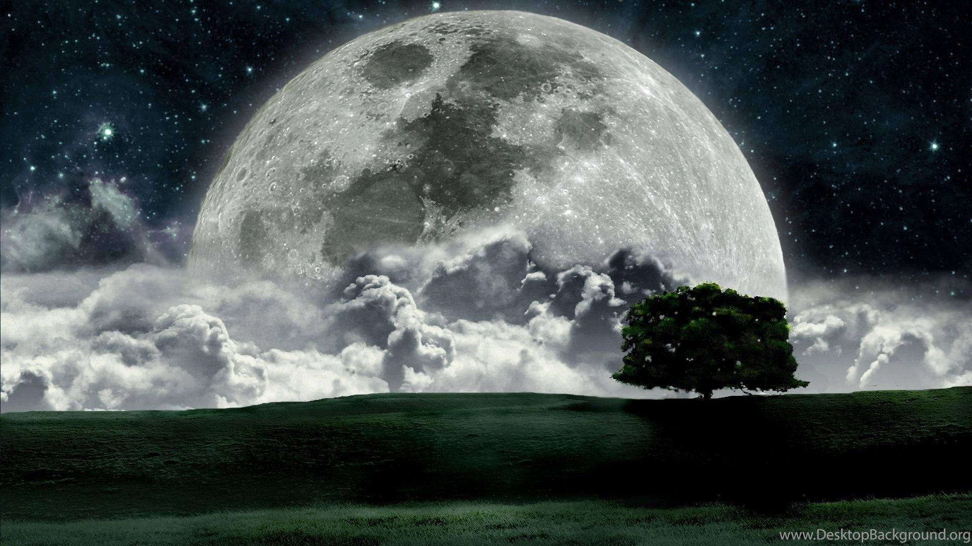 Forest Moon Wallpapers - Top Free Forest Moon Backgrounds - WallpaperAccess