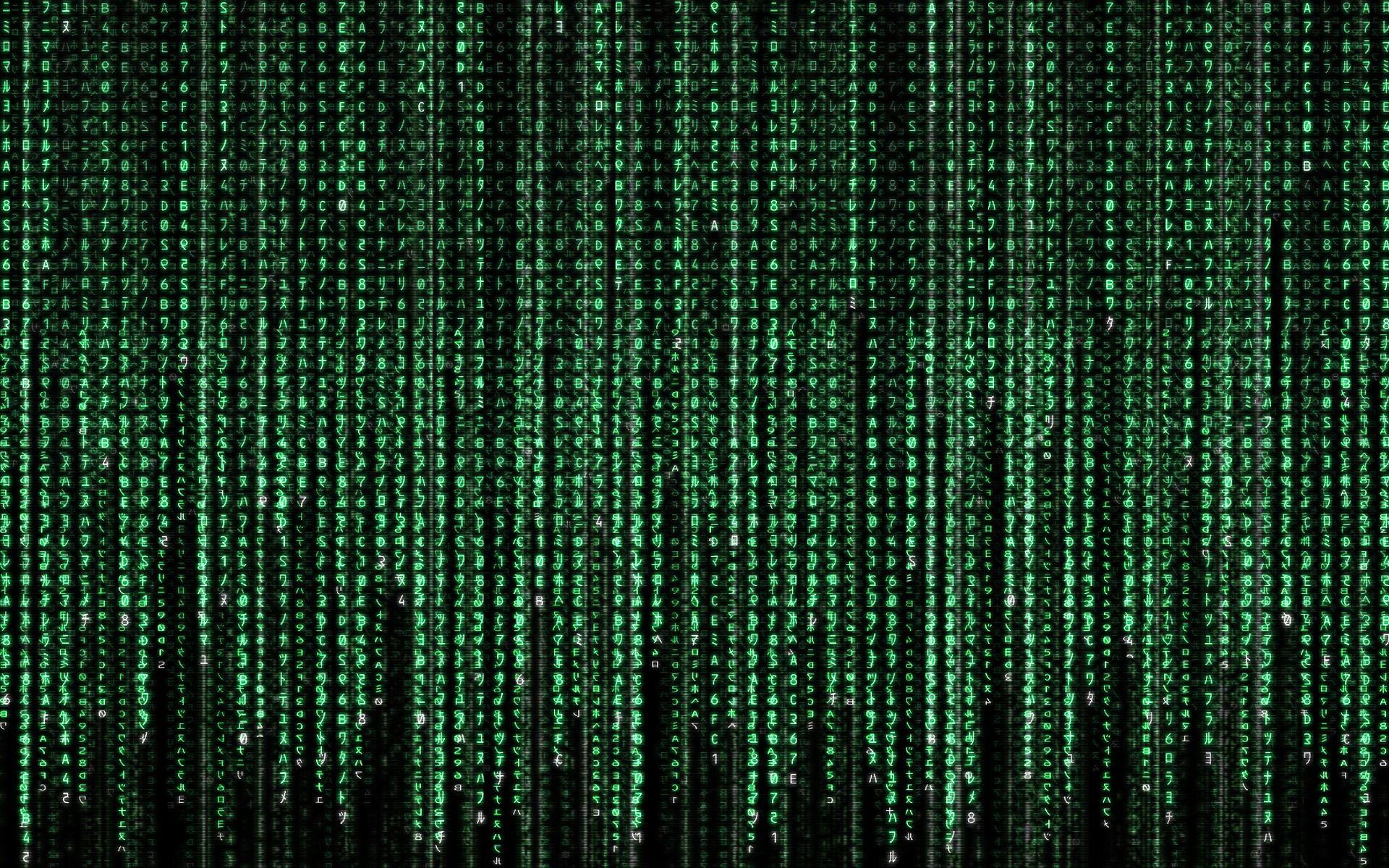 Matrix Rain Wallpapers - Top Free Matrix Rain Backgrounds - WallpaperAccess