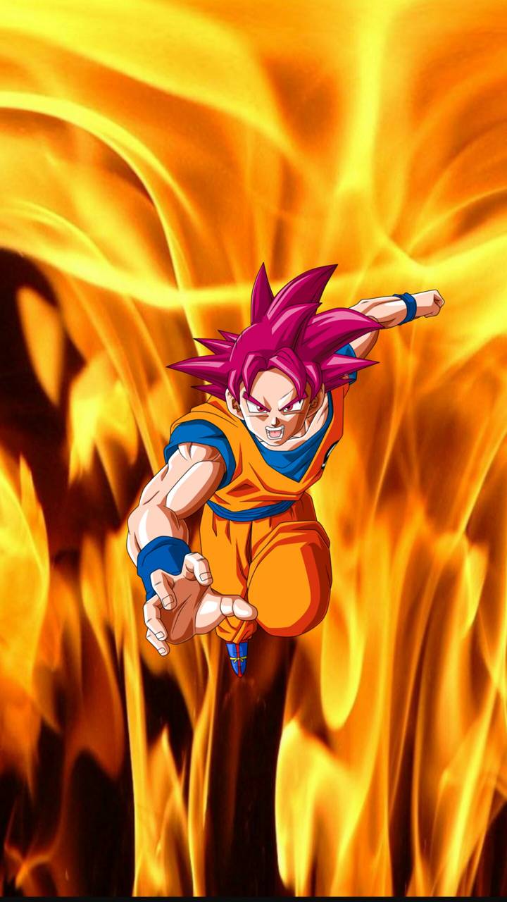 SSG Goku Wallpapers - Top Free SSG Goku Backgrounds - WallpaperAccess