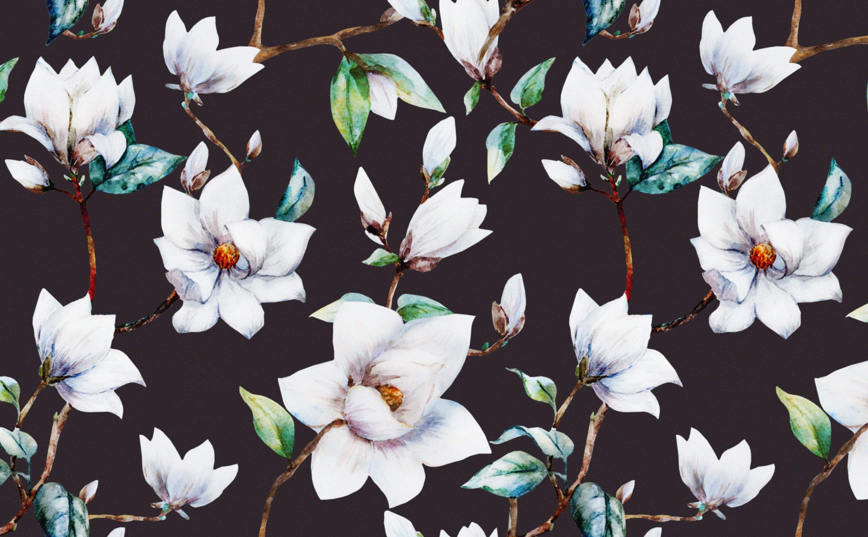 Magnolia Flower Wallpapers - Top Free Magnolia Flower Backgrounds ...