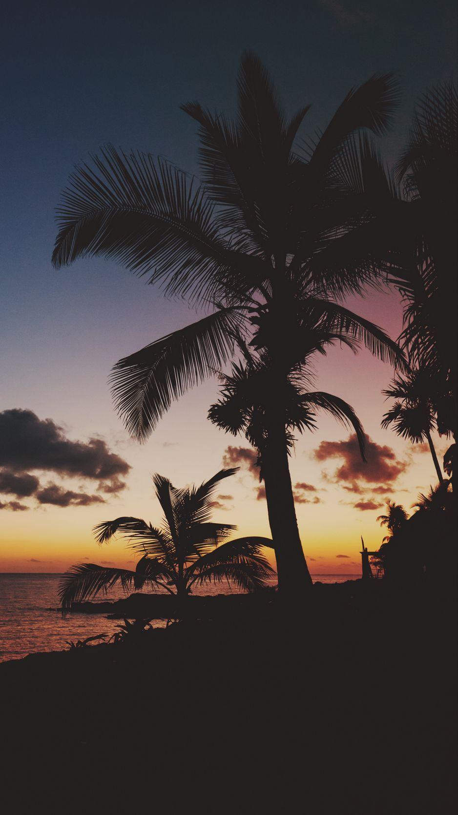 Mexico Sunset Wallpapers - Top Free Mexico Sunset Backgrounds ...