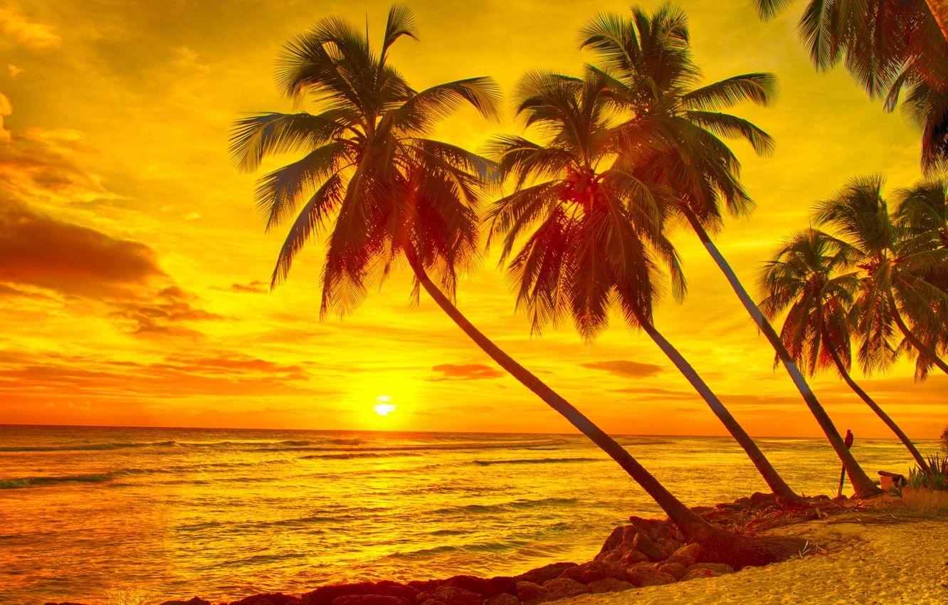 Caribbean Sunset Wallpapers - Top Free Caribbean Sunset Backgrounds ...