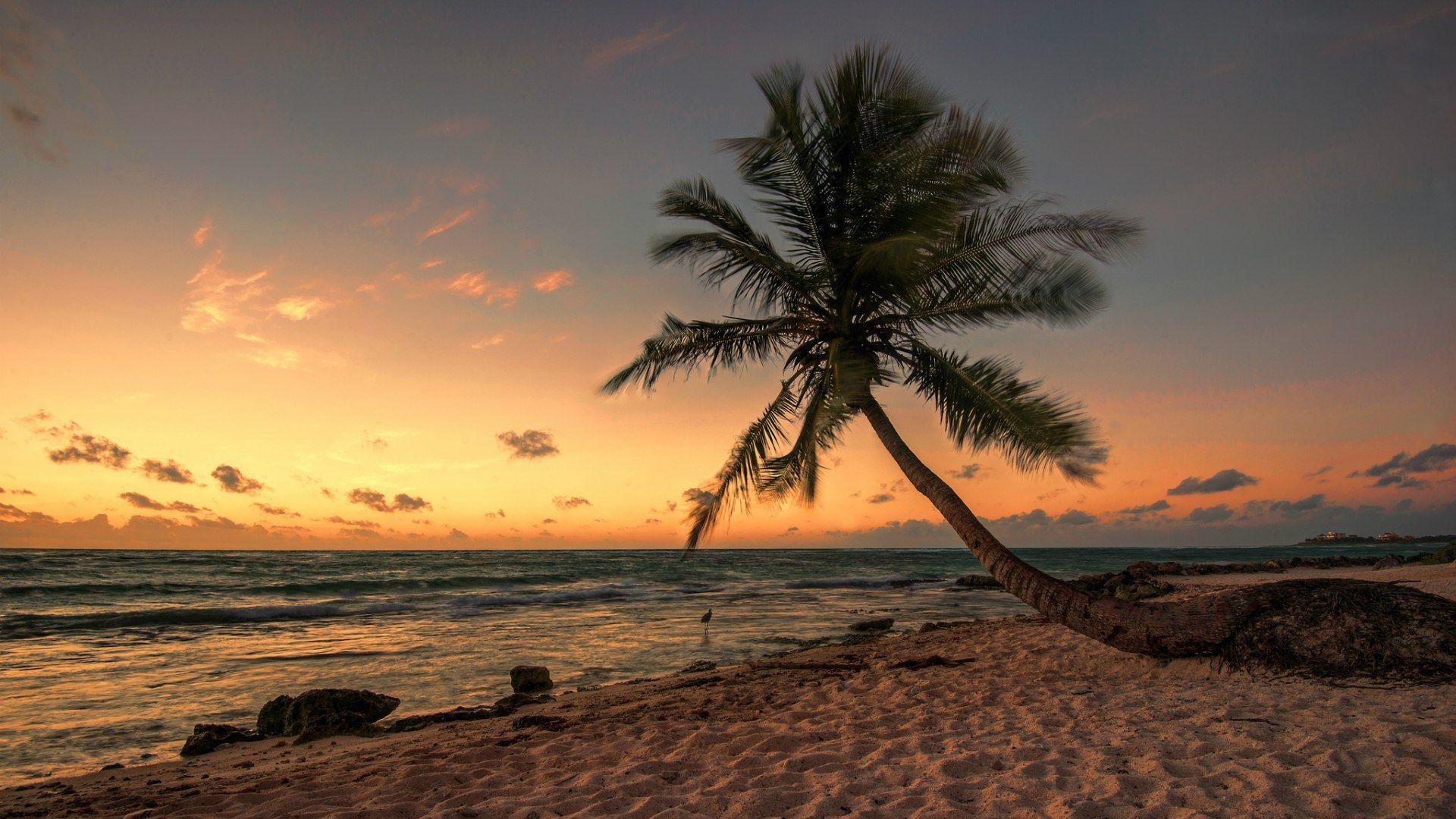 Mexico Sunset Wallpapers - Top Free Mexico Sunset Backgrounds ...