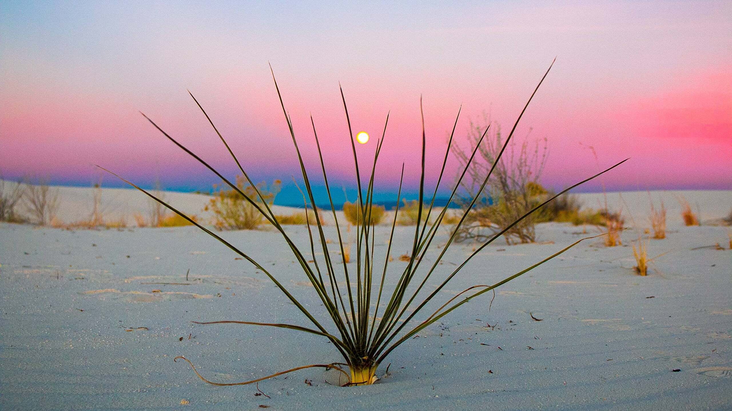 Mexico Sunset Wallpapers - Top Free Mexico Sunset Backgrounds ...