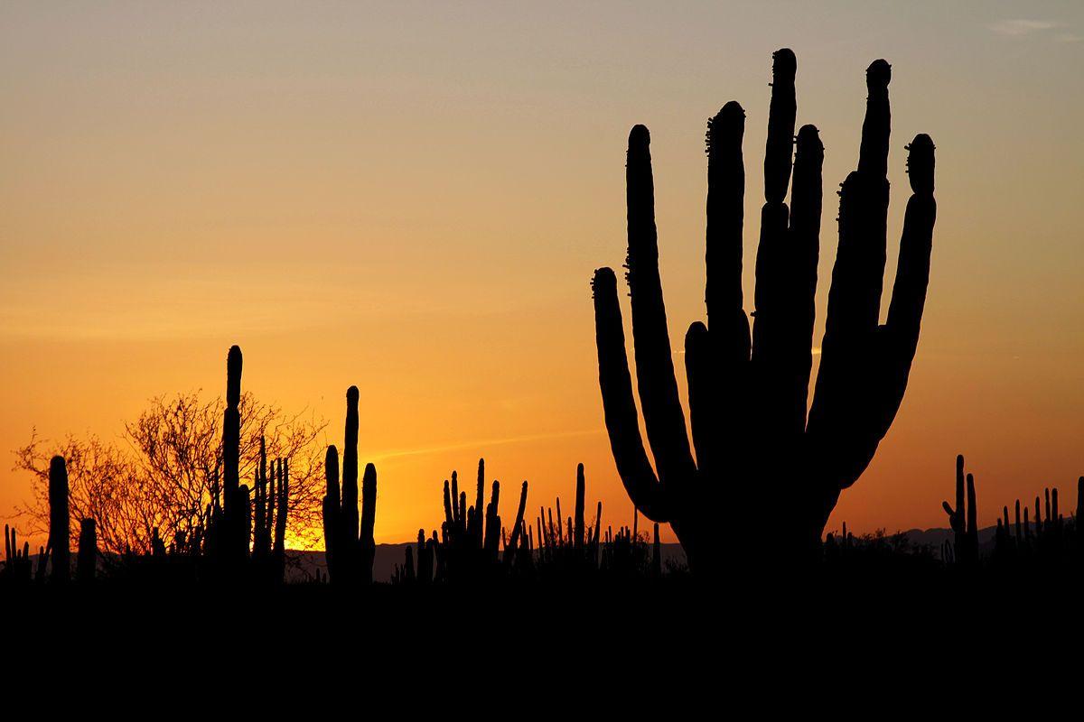 Mexico Sunset Wallpapers - Top Free Mexico Sunset Backgrounds ...