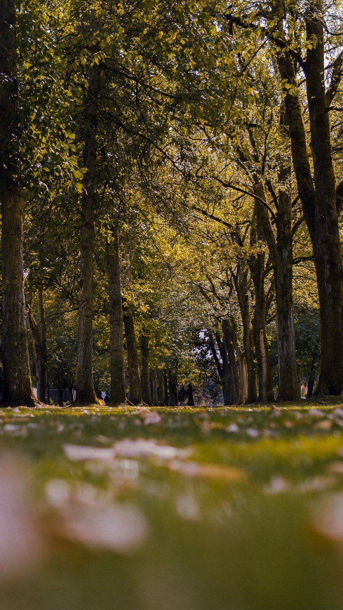 Oregon Autumn Wallpapers - Top Free Oregon Autumn Backgrounds ...