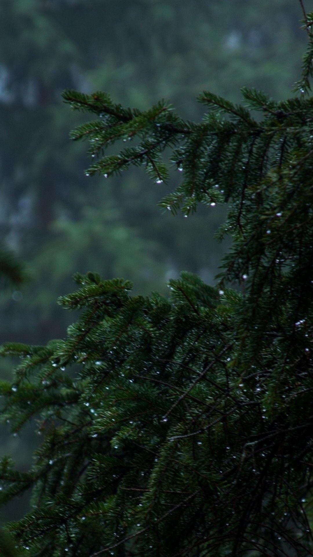 Night Rain Phone Wallpapers - Top Free Night Rain Phone Backgrounds ...