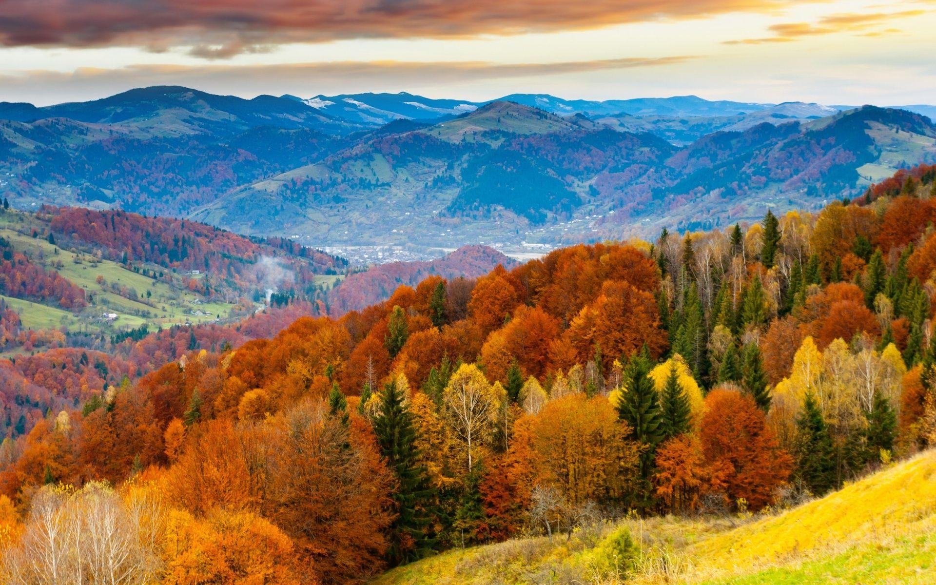 Colorful Forest Wallpapers - Top Free Colorful Forest Backgrounds ...