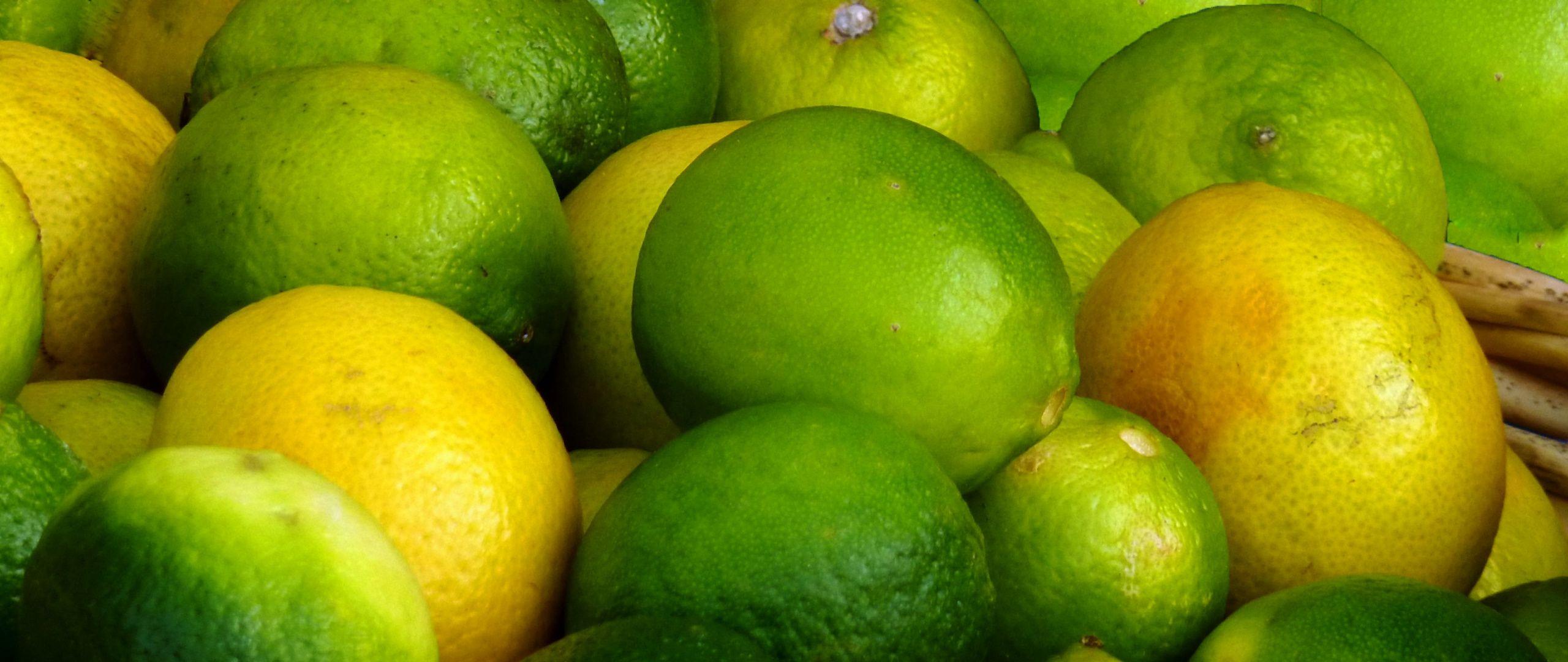 Citrus Fruits Wallpapers - Top Free Citrus Fruits Backgrounds ...