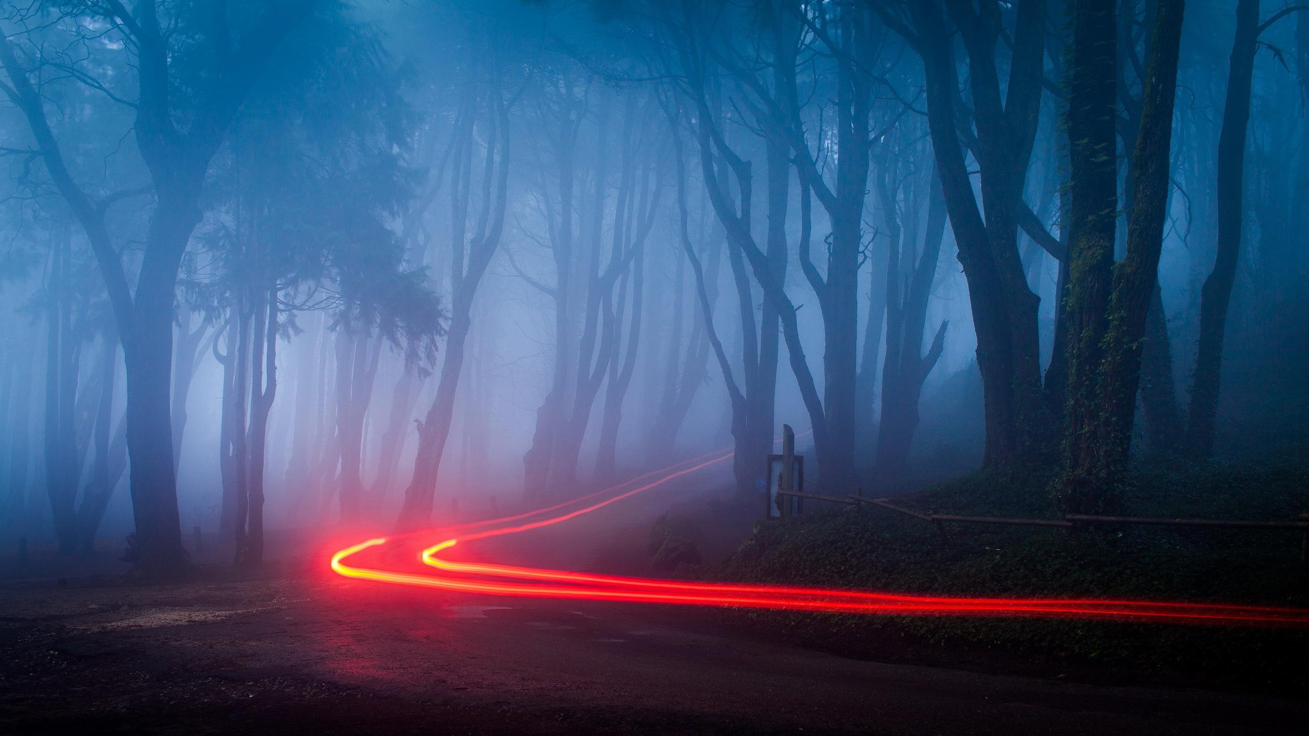 Foggy Road Wallpapers - Top Free Foggy Road Backgrounds - WallpaperAccess