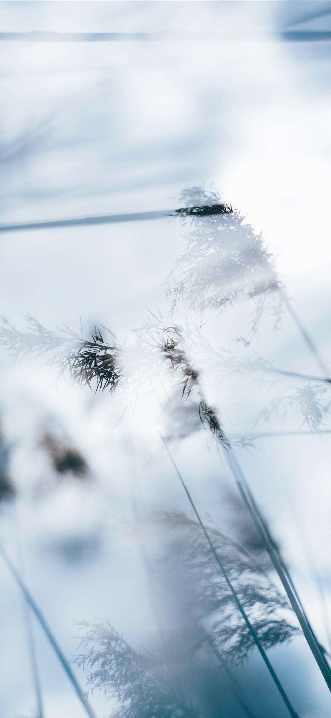 Analog Wallpapers - Top Free Analog Backgrounds - WallpaperAccess