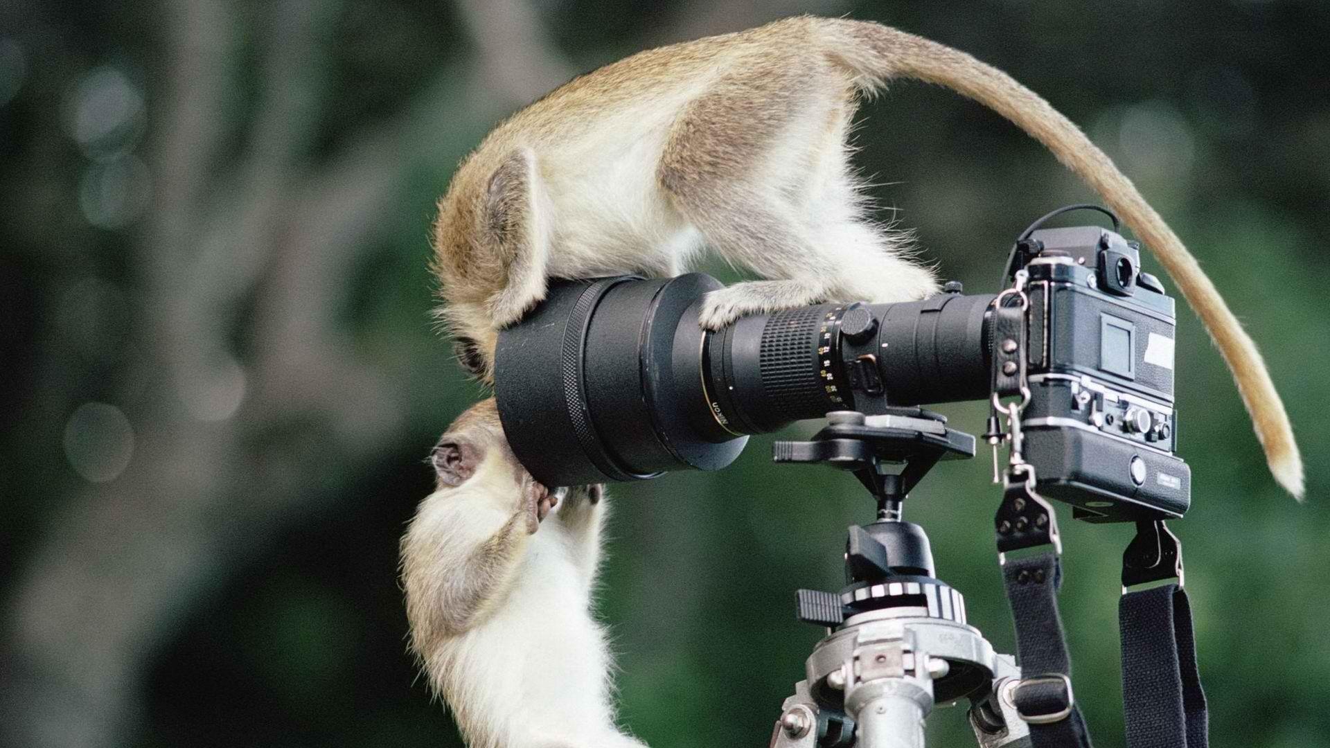 Analog Wallpapers - Top Free Analog Backgrounds - WallpaperAccess