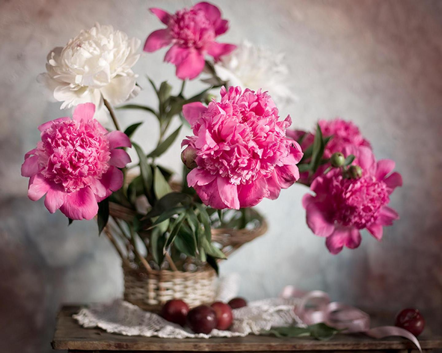 Peonies Flowers Wallpapers - Top Free Peonies Flowers Backgrounds ...