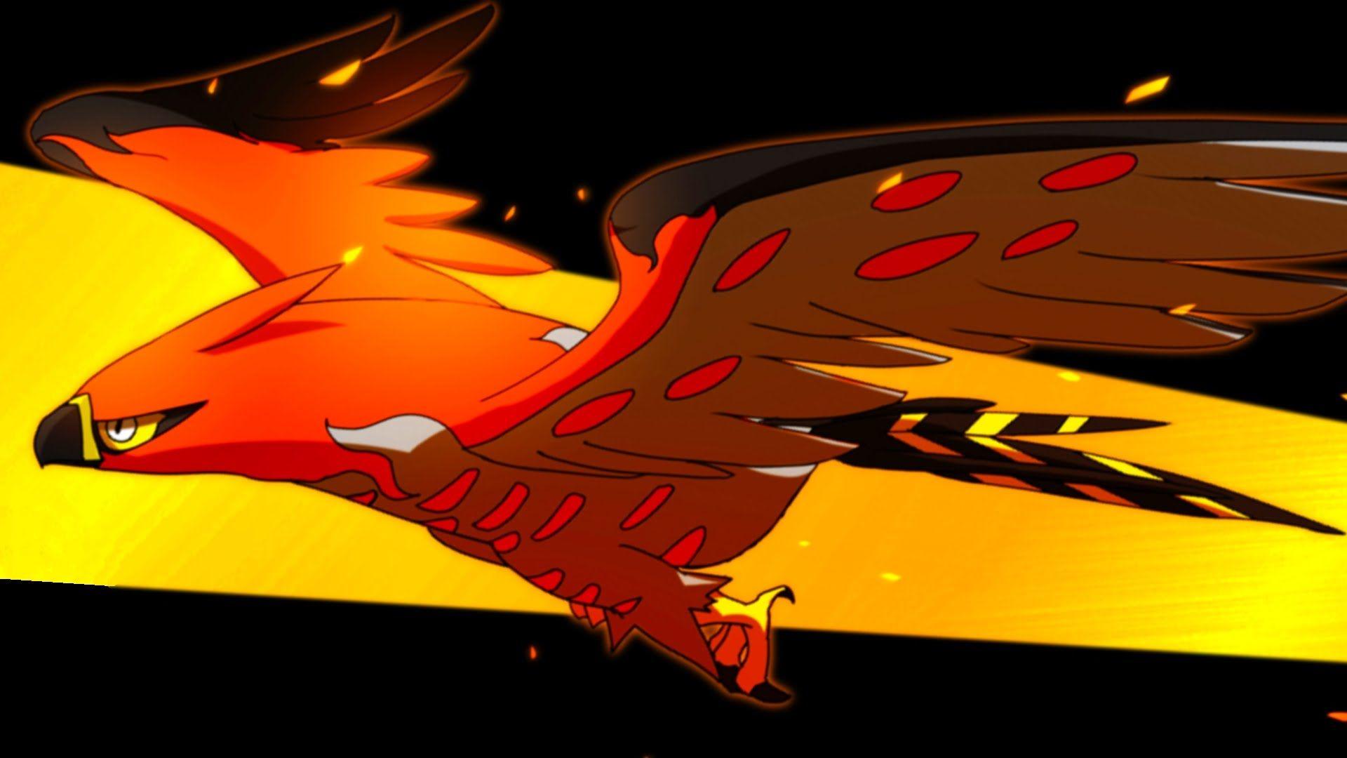 Talonflame Wallpapers - Top Free Talonflame Backgrounds - WallpaperAccess