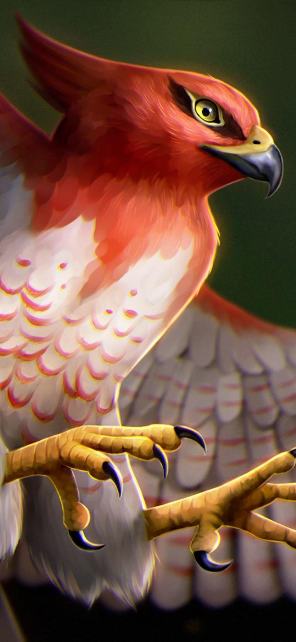 Talonflame Wallpapers - Top Free Talonflame Backgrounds - WallpaperAccess