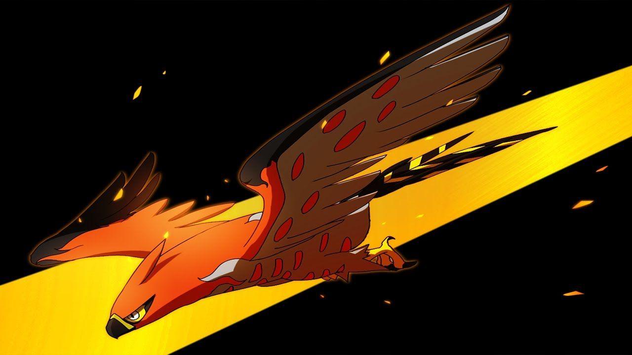 Talonflame Wallpapers - Top Free Talonflame Backgrounds - WallpaperAccess