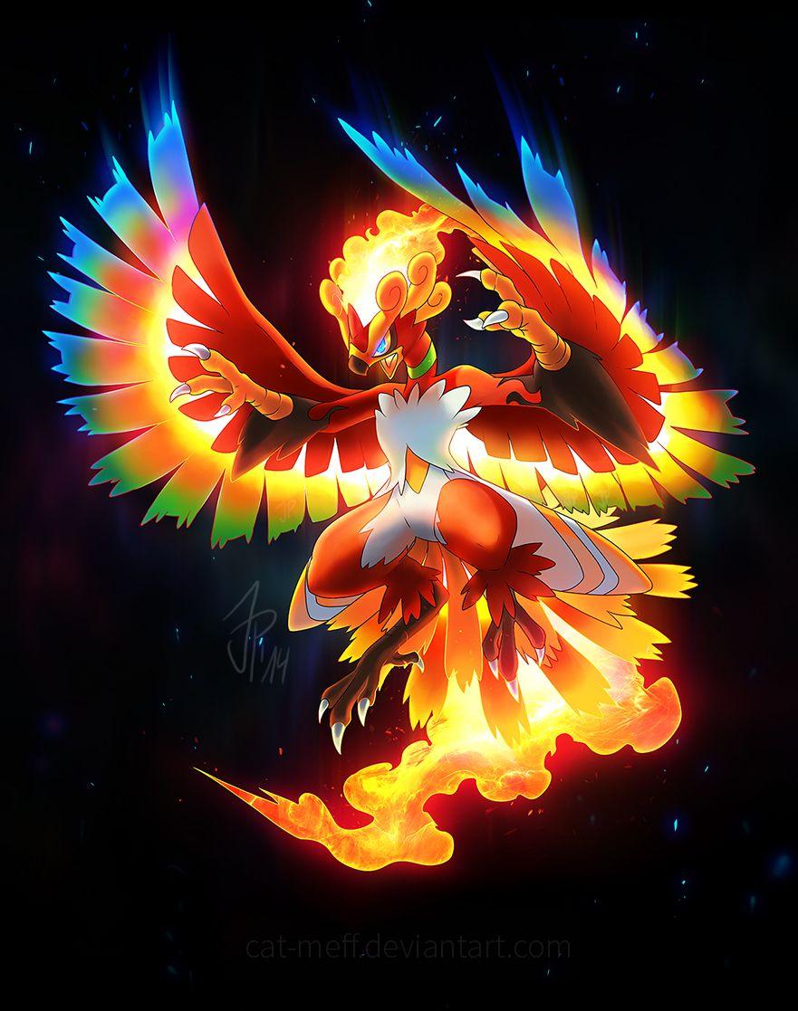 Talonflame Wallpapers - Top Free Talonflame Backgrounds - WallpaperAccess