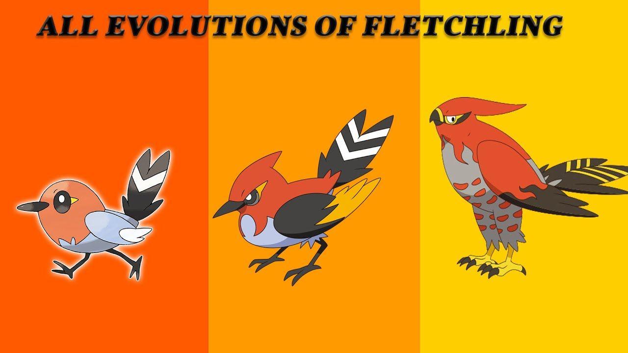 Pokemon Talonflame Evolution