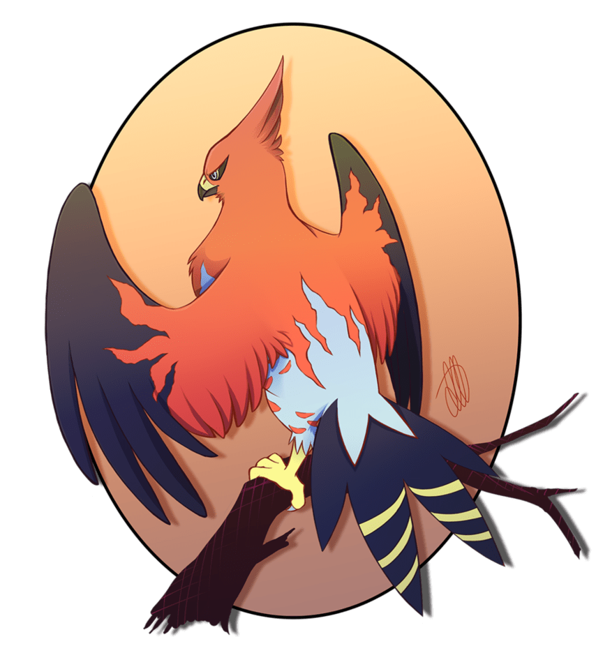 Talonflame Wallpapers - Top Free Talonflame Backgrounds - WallpaperAccess