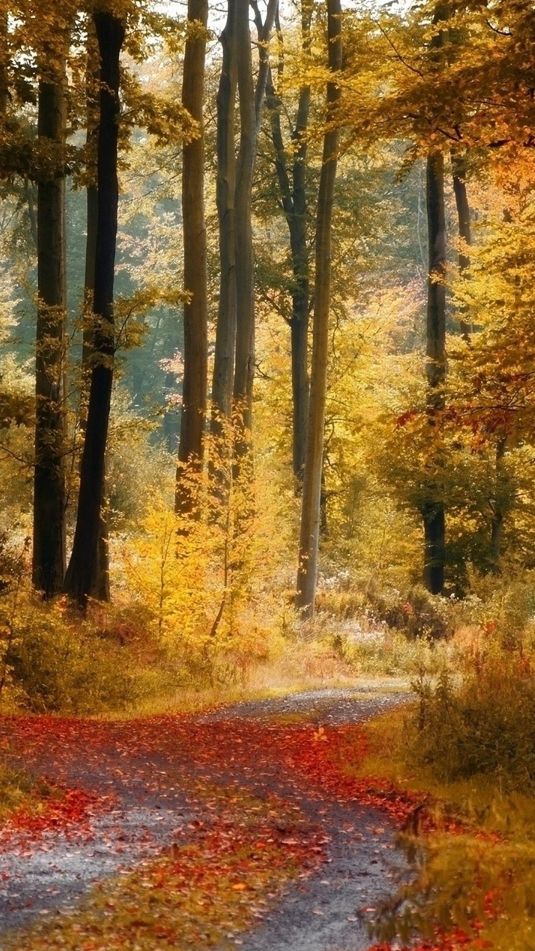 November Tumblr Wallpapers - Top Free November Tumblr Backgrounds ...