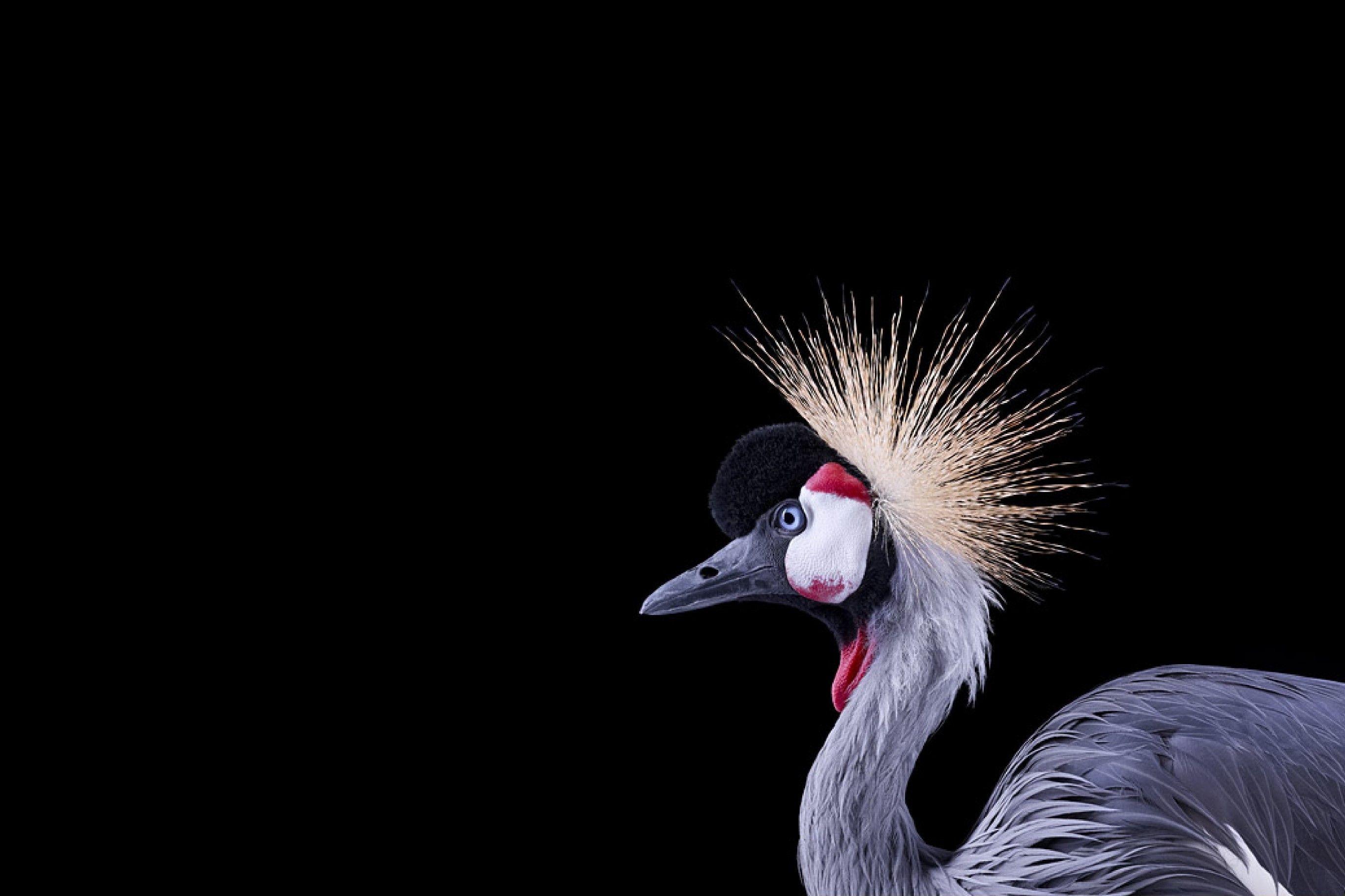 Microsoft Surface Pro Wallpapers - Top Free Microsoft Surface Pro ...