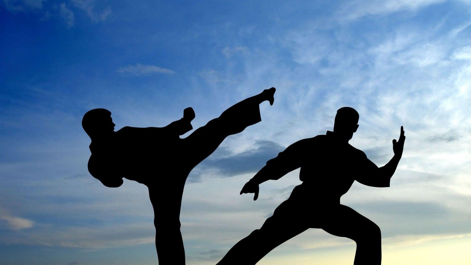 Shotokan Karate Do Wallpapers Top Free Shotokan Karate Do Backgrounds Wallpaperaccess